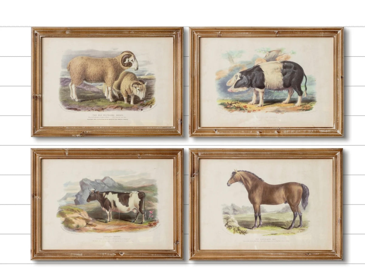 Vintage Farm Animal Prints – G&DFarms