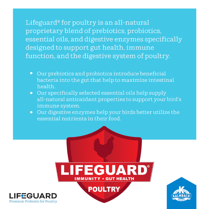 Lifeguard Poultry Supplement – G&DFarms