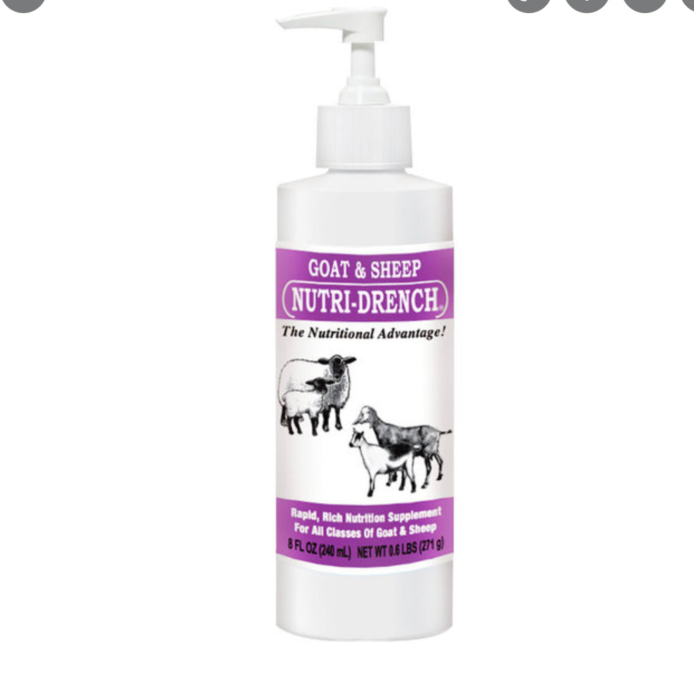 Nutri-Drench for Goat and Sheep, 8oz – G&DFarms