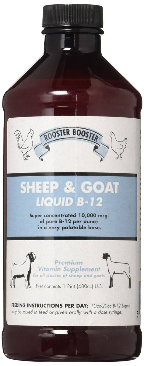 Sheep & Goat Liquid B-12, 1pt – G&DFarms