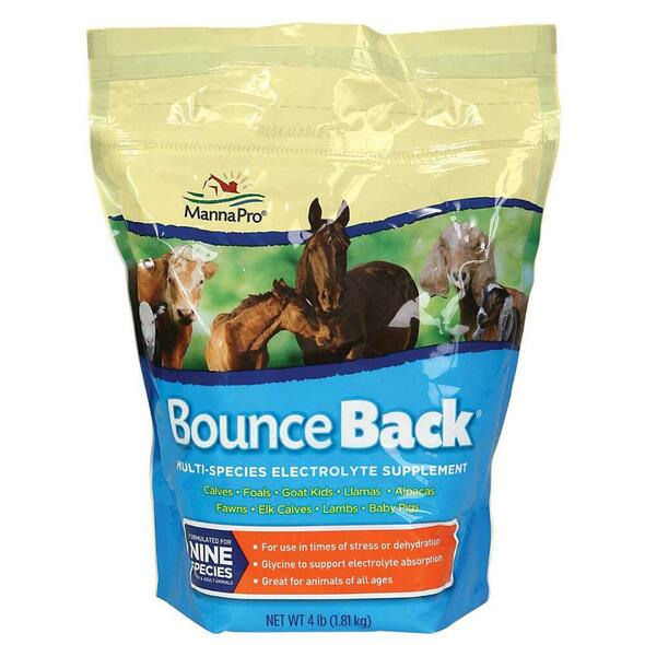 Bounce Back Electrolyte Supplement – G&DFarms