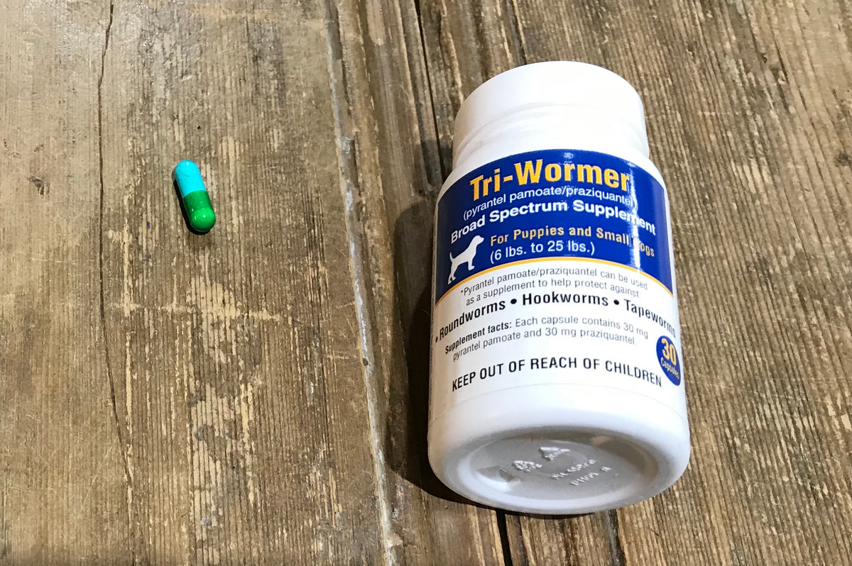 Tri Wormer for Puppies and Dogs – G&DFarms