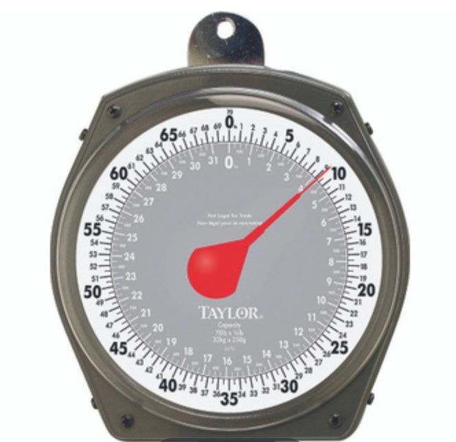 Taylor Hanging Scale – G&DFarms