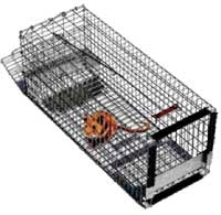 Pied Piper Small Rodent Trap, #100 – G&DFarms