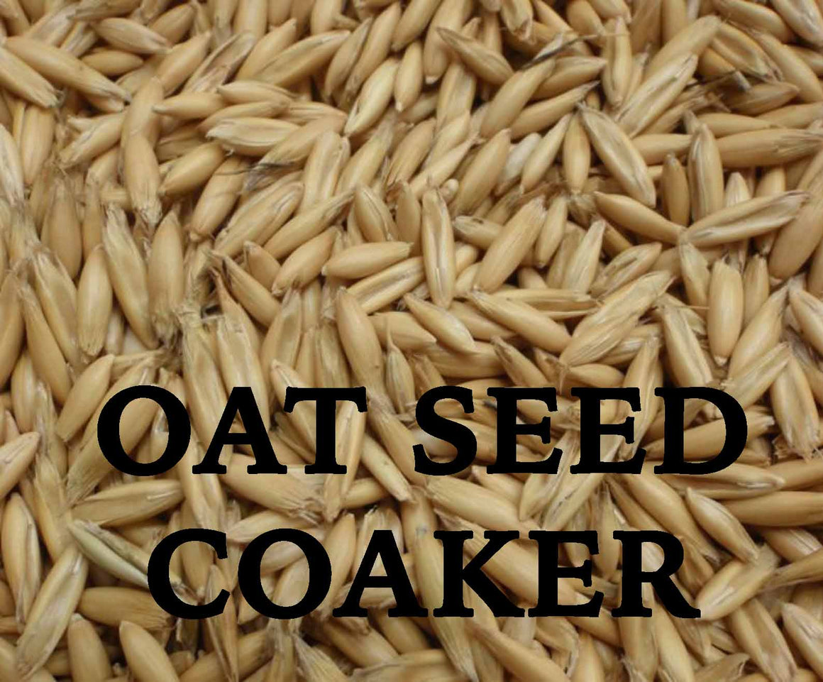 Seed – G&DFarms